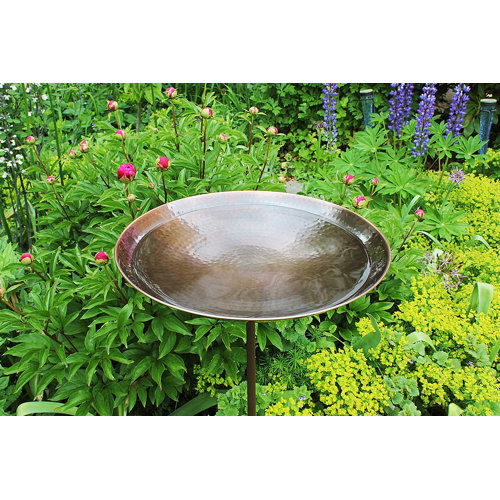 Extra Large Bird Baths You'll Love | Wayfair